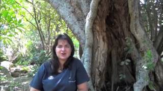 Dr. Mk Strydom – TruLight TV