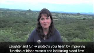Dr. Mk Strydom – TruLight TV